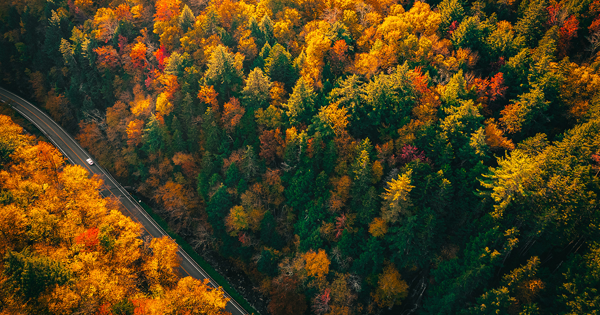 “2024 Stowe Fall Foliage Photography Trip,” an article by Dan Mall